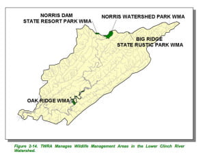 Localwaters Norris Lake Maps Boat Ramps TN