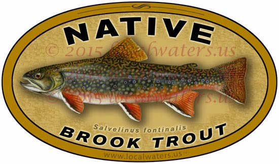 Localwaters Native Brook Trout Decal fishing sticker - Localwaters